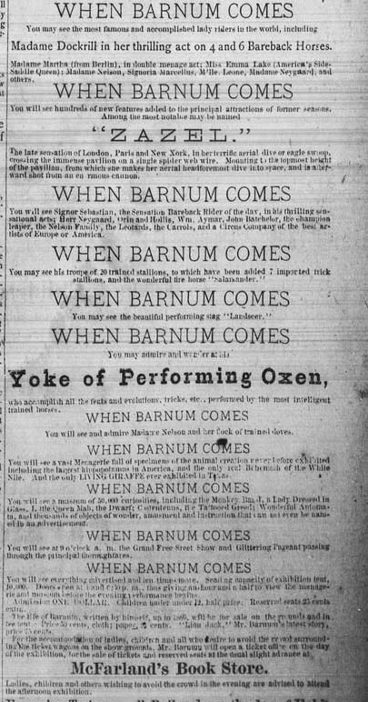 Pick your Own Path: Convincing Mama that the Circus is a Good Idea ...